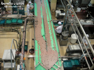 Yakult Philippines Factory Tour - Animetric's World